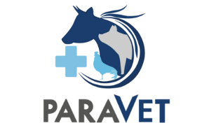 Barefoot Lightning – Nature Planet People